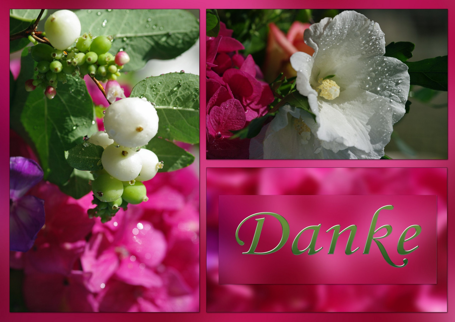 Danke...... Foto & Bild | karten und kalender, dankeschön, karten ...