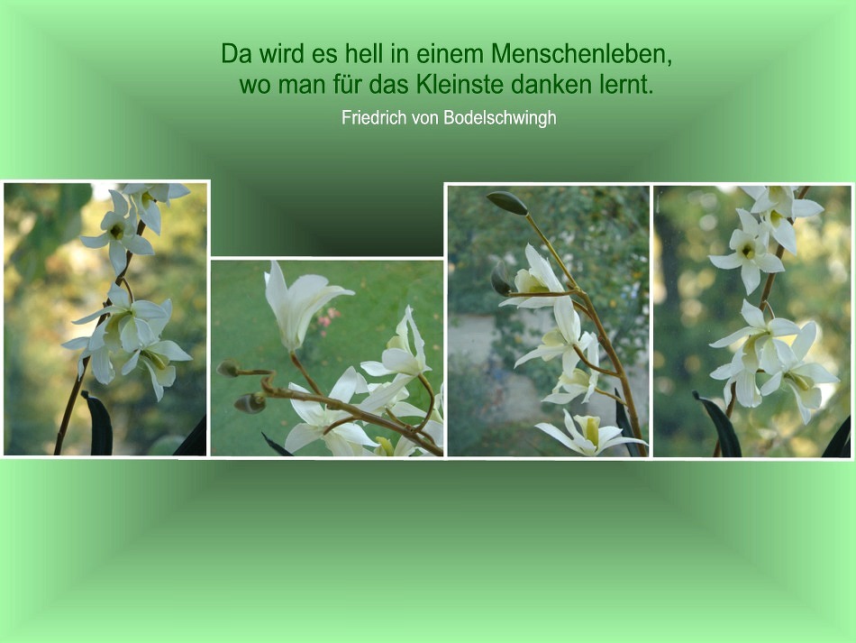 Danken Foto & Bild | karten und kalender, karten 2007, spezial Bilder ...