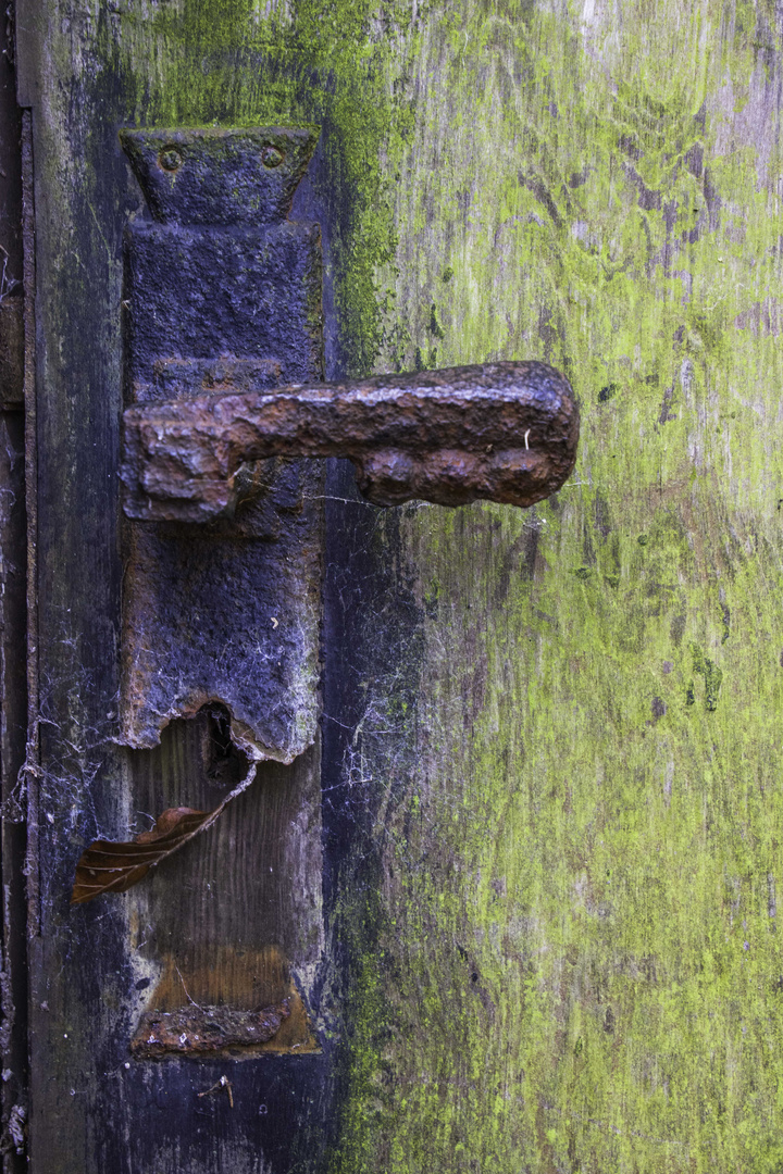 Dann gehen wir mal rein - hier ist es zu zugig Foto & Bild | marodes ...