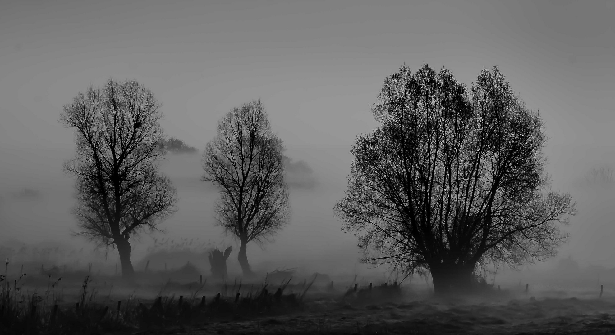 dans la brume photo et image | france, brume, normandie Images ...