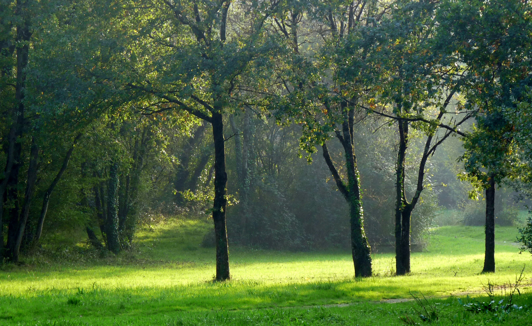 Dans la clairière... photo et image | paysages, paysages de campagne ...