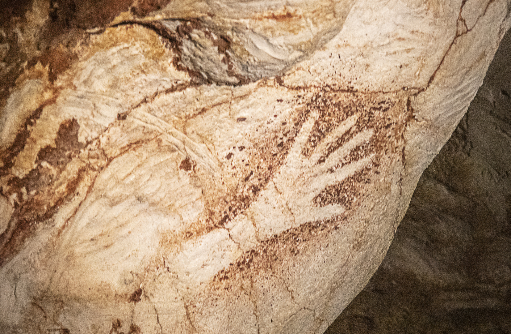 Dans la grotte Cosquer... photo et image | nature, animaux, personnes ...