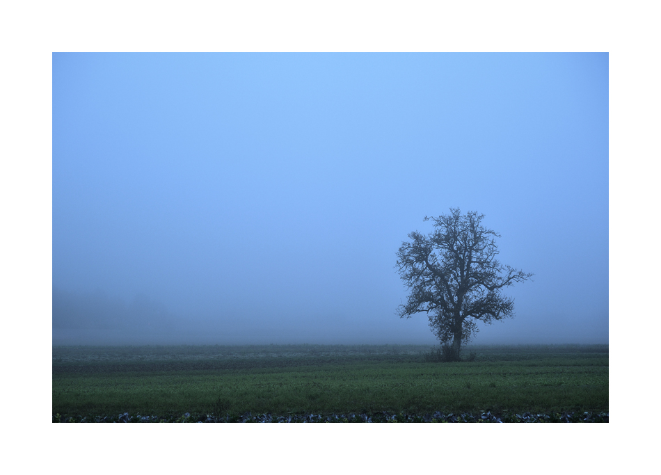 dans le brouillard... photo et image | paysages, paysages de campagne ...