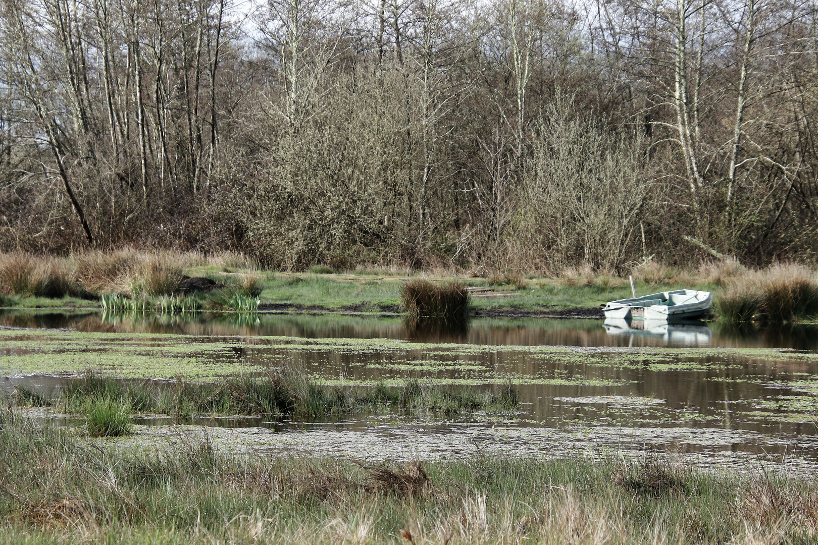 dans les marais ! photo et image | paysages, paysages de campagne ...