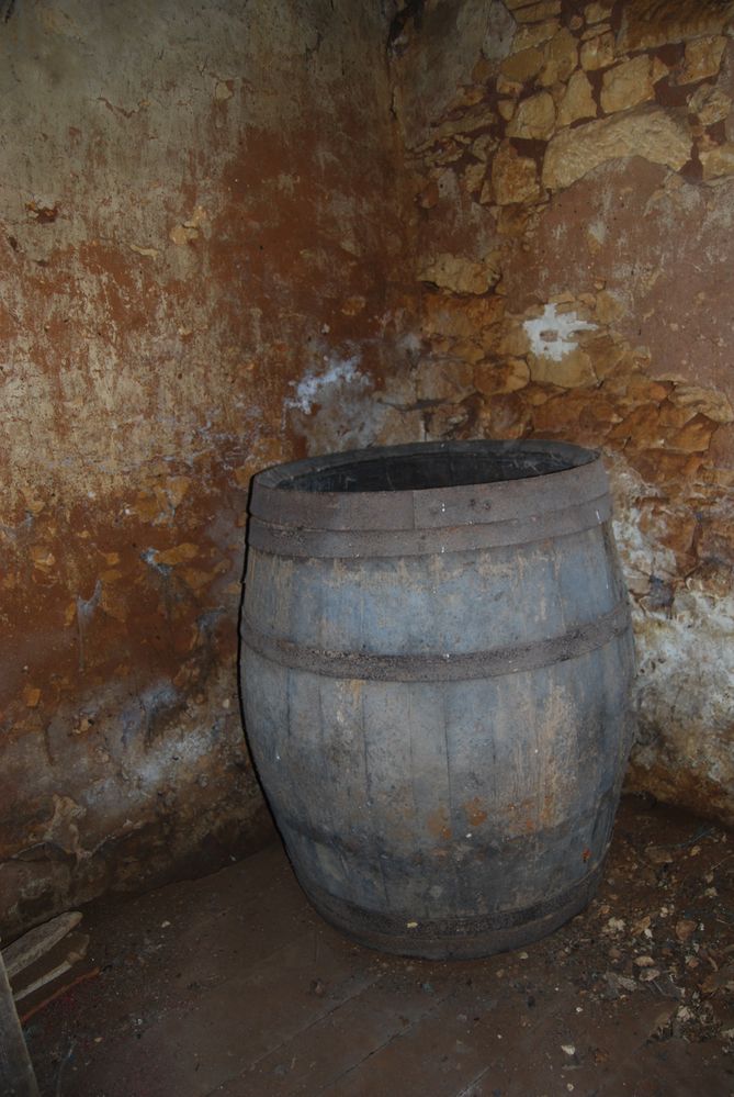 dans une ruine.... photo et image | photos de vacances, special Images ...