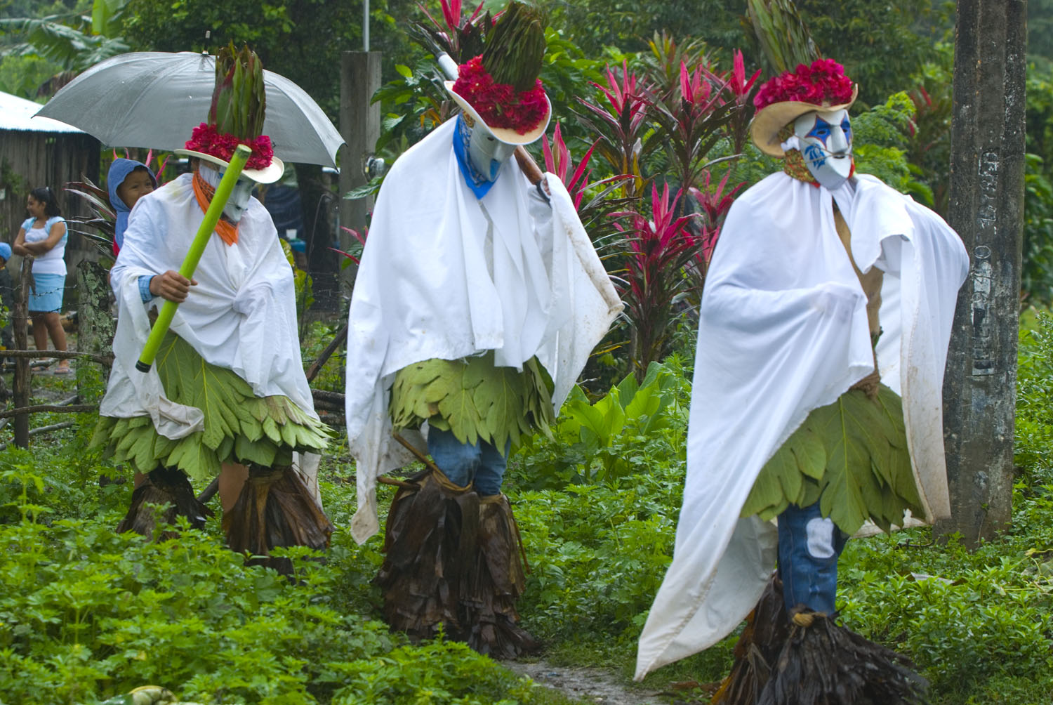 Danza del Pochó Imagen & Foto | arte y cultura, personas Fotos de ...
