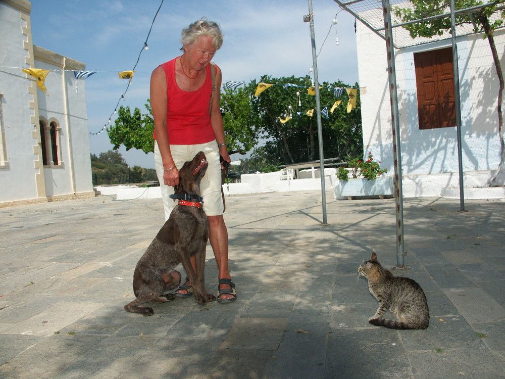 Darf ich oder darf ich nicht? Du meinst die hat scharfe Krallen! Foto ...