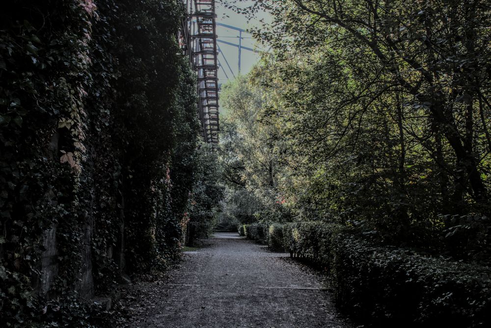 dark walk along Foto & Bild | weg, kultur, dunkel Bilder auf fotocommunity