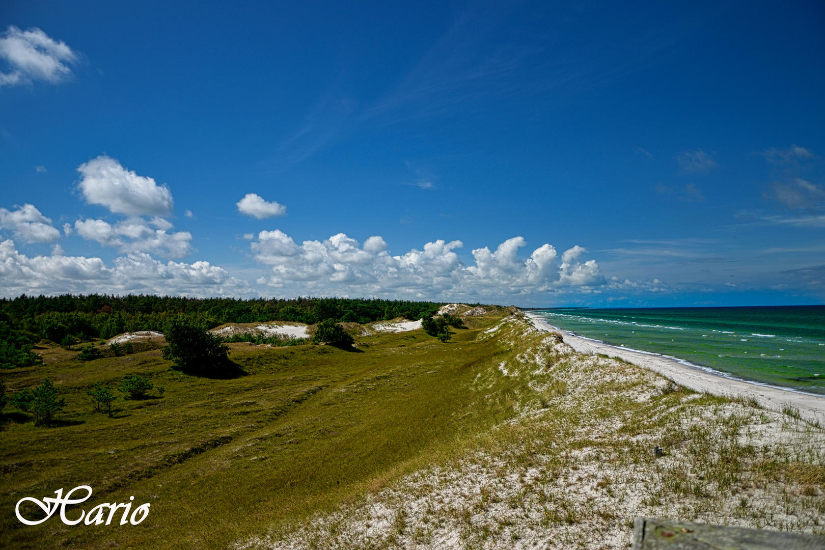 Darß Foto & Bild | deutschland, europe, mecklenburg- vorpommern Bilder ...