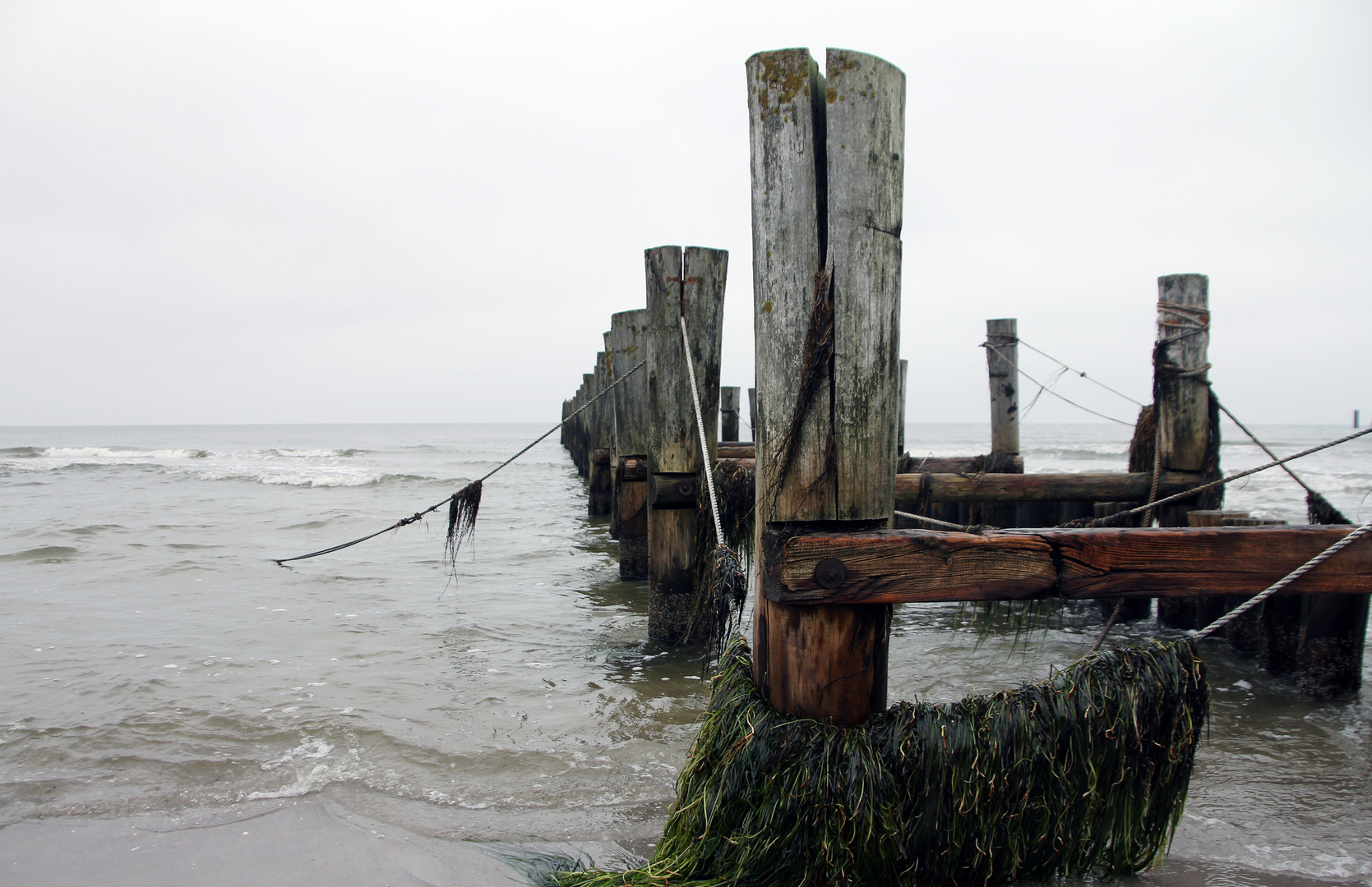 Darß Foto & Bild | ostseeküste, zingst, deutschland Bilder auf ...
