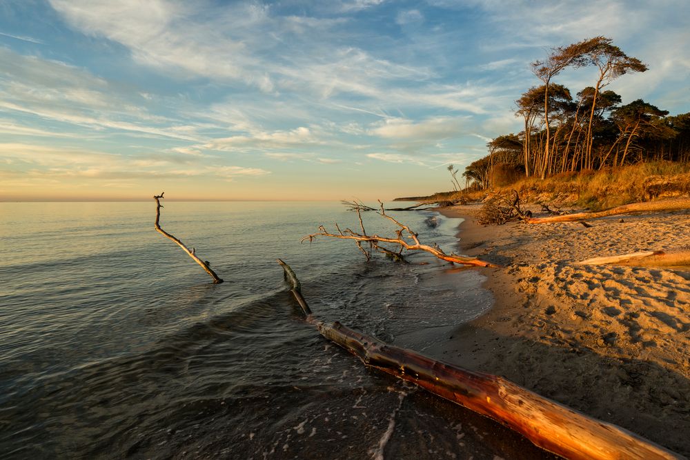 Darss Weststrand Foto & Bild | darss sonnenuntergang sunsetz weststrand ...