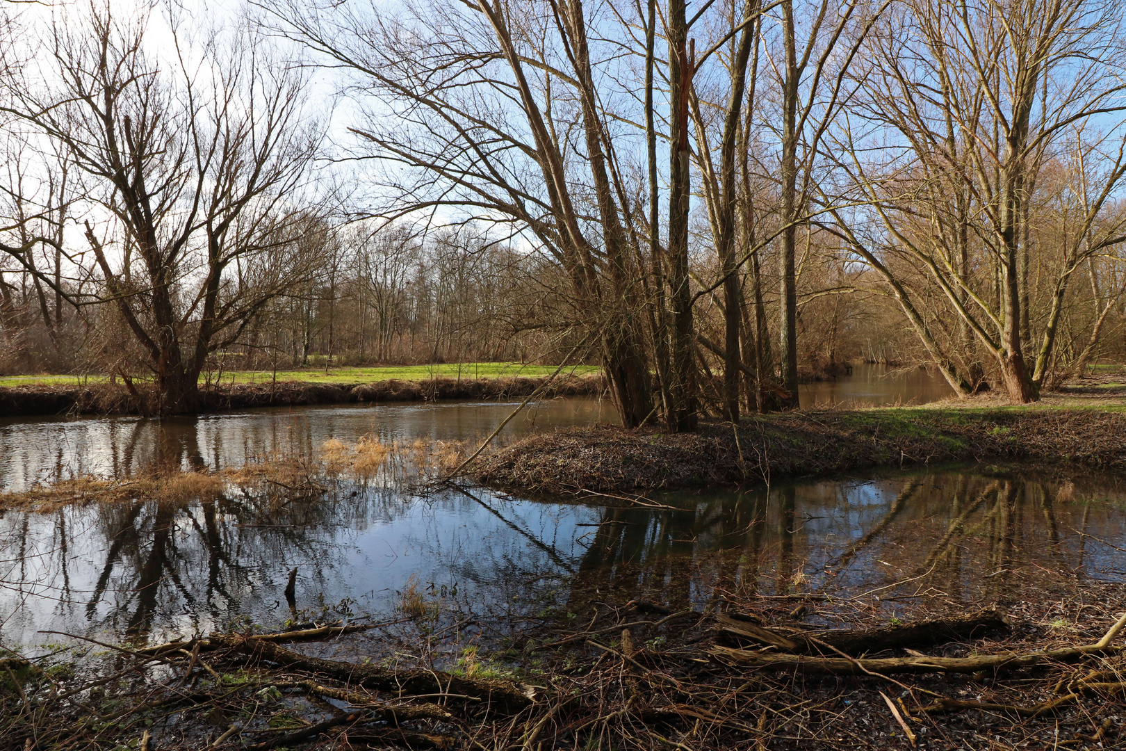 Das alte Flussbett Foto & Bild | landschaften, wasser, bäume Bilder auf ...