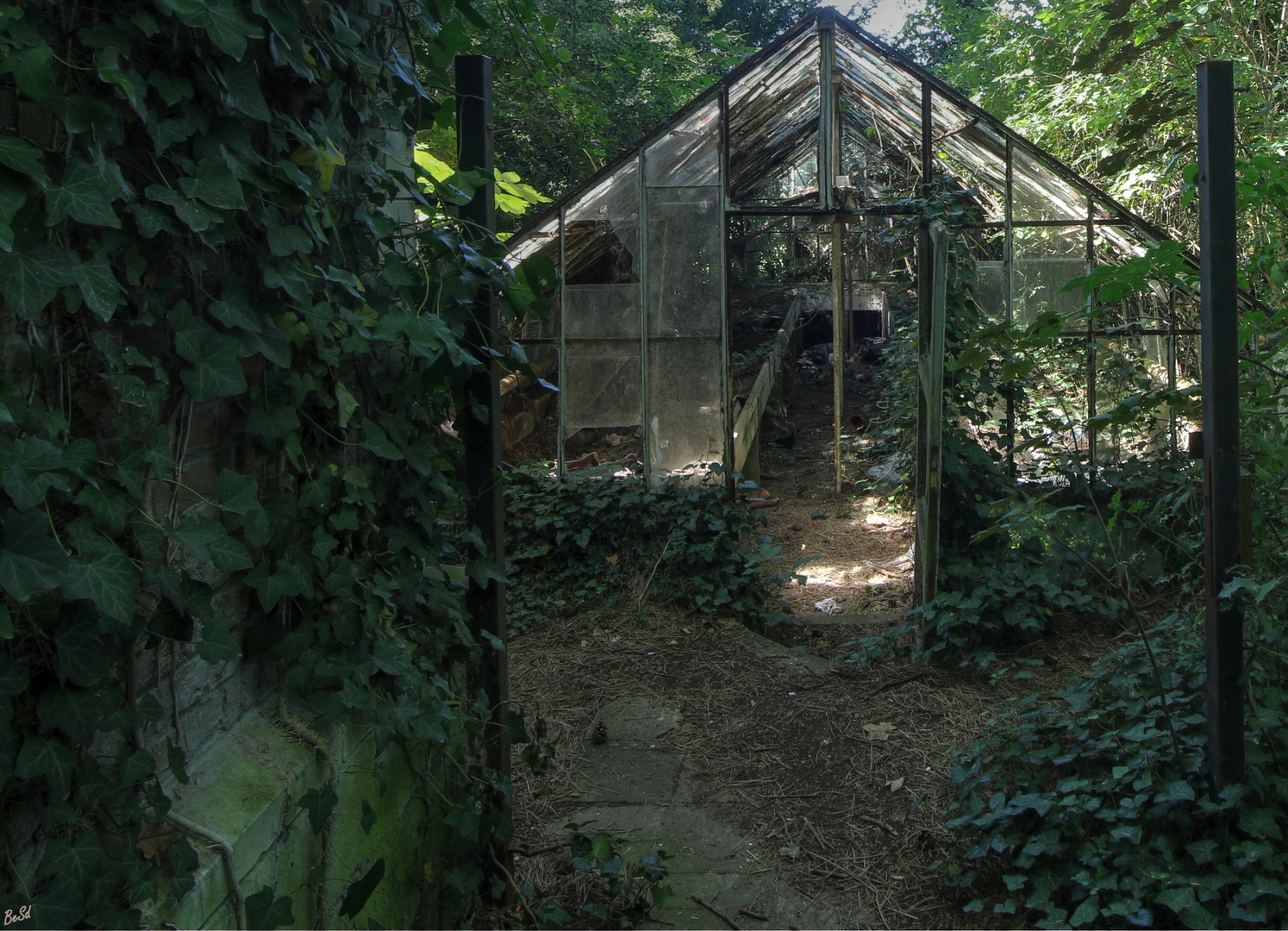 Das alte Treibhaus..... Foto & Bild | fotos, spezial, marode Bilder auf ...