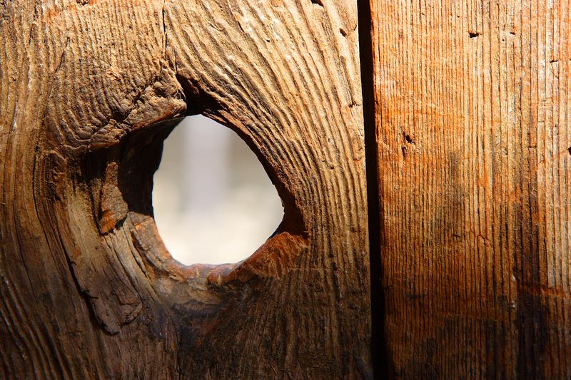 DAS AUGE SIEHT ALLES Foto & Bild | stillleben, zufällige arrangements ...