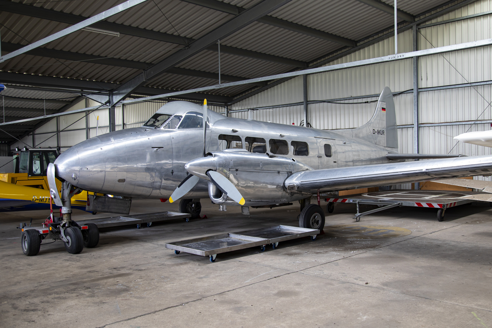 Das bewegte Leben einer Taube !!! Foto & Bild | taube, flugzeug ...