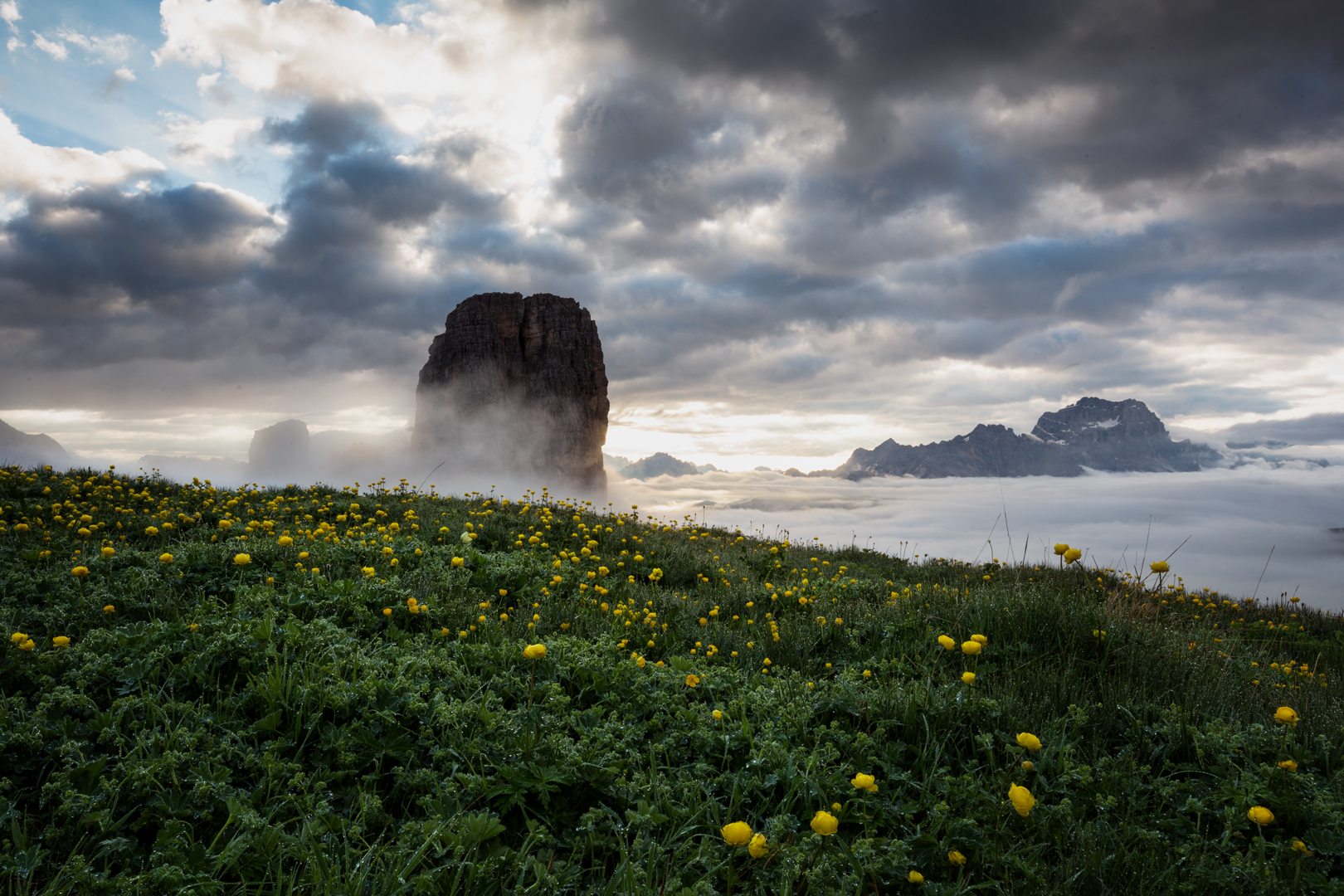 Das Bild zum Bild.... Foto & Bild | natur, landschaft, blumen Bilder ... Das Bild zum Bild.... Foto & Bild | natur, landschaft, blumen Bilder ...