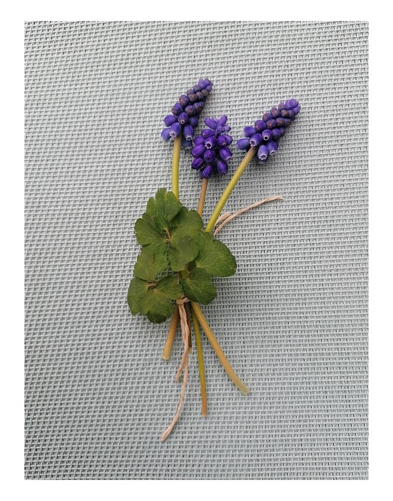 Das Blatt.. Foto & Bild | stillleben, tabletop, blau Bilder auf ...