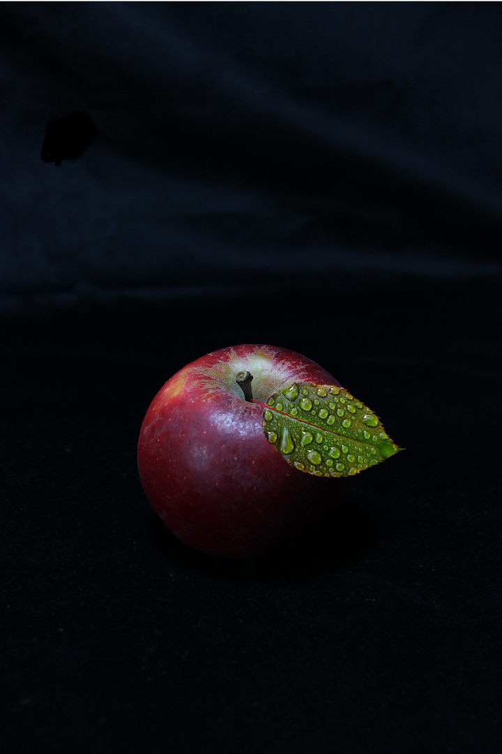 Das Blatt Foto & Bild | fotomontage, composing , apfel Bilder auf ...