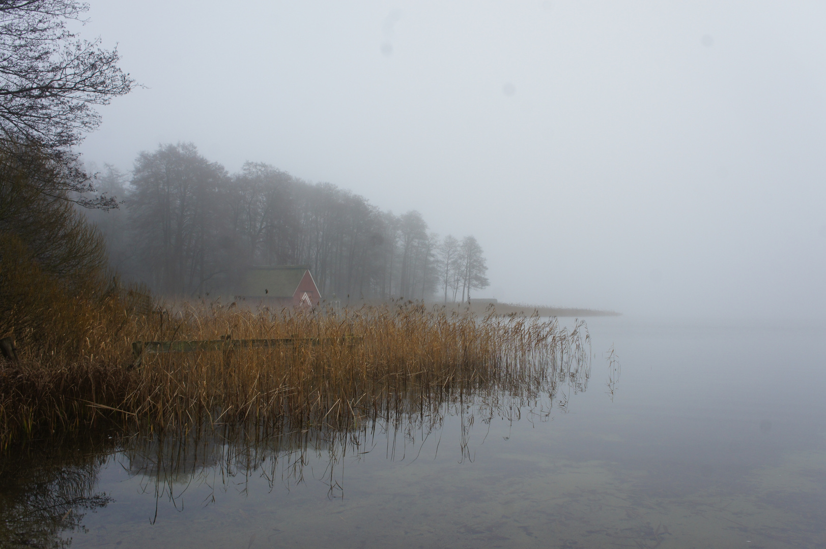 Das Bootshaus Foto & Bild | landschaft, bach, fluss & see, see, teich & tümpel Bilder auf ...