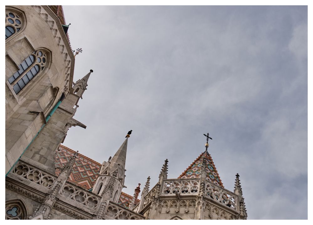 Das Dach der Kirche Foto & Bild | city, world, kirche Bilder auf fotocommunity