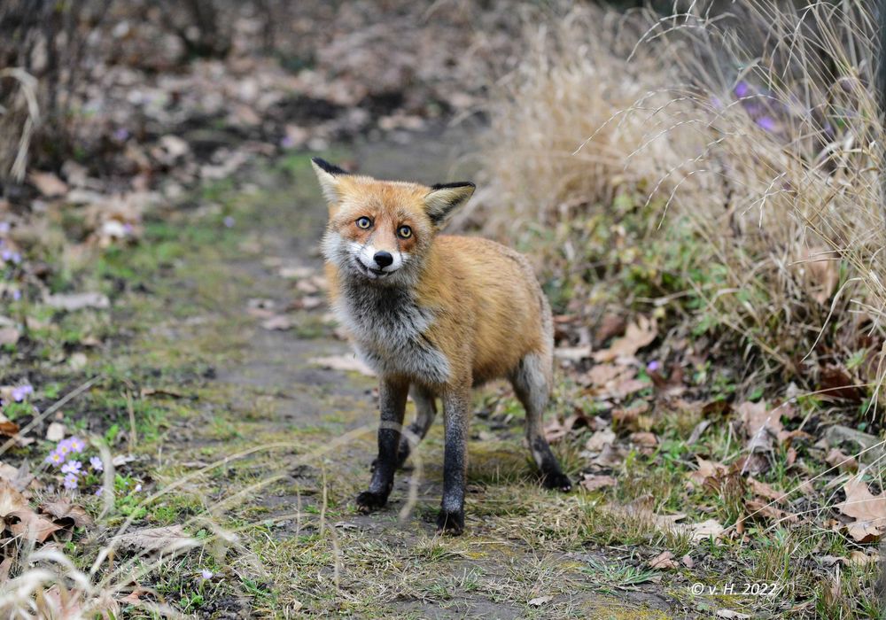 Das darf doch alles nicht wahr sein! Foto & Bild | frühling, natur ... Das darf doch alles nicht wahr sein! Foto & Bild | frühling, natur ...