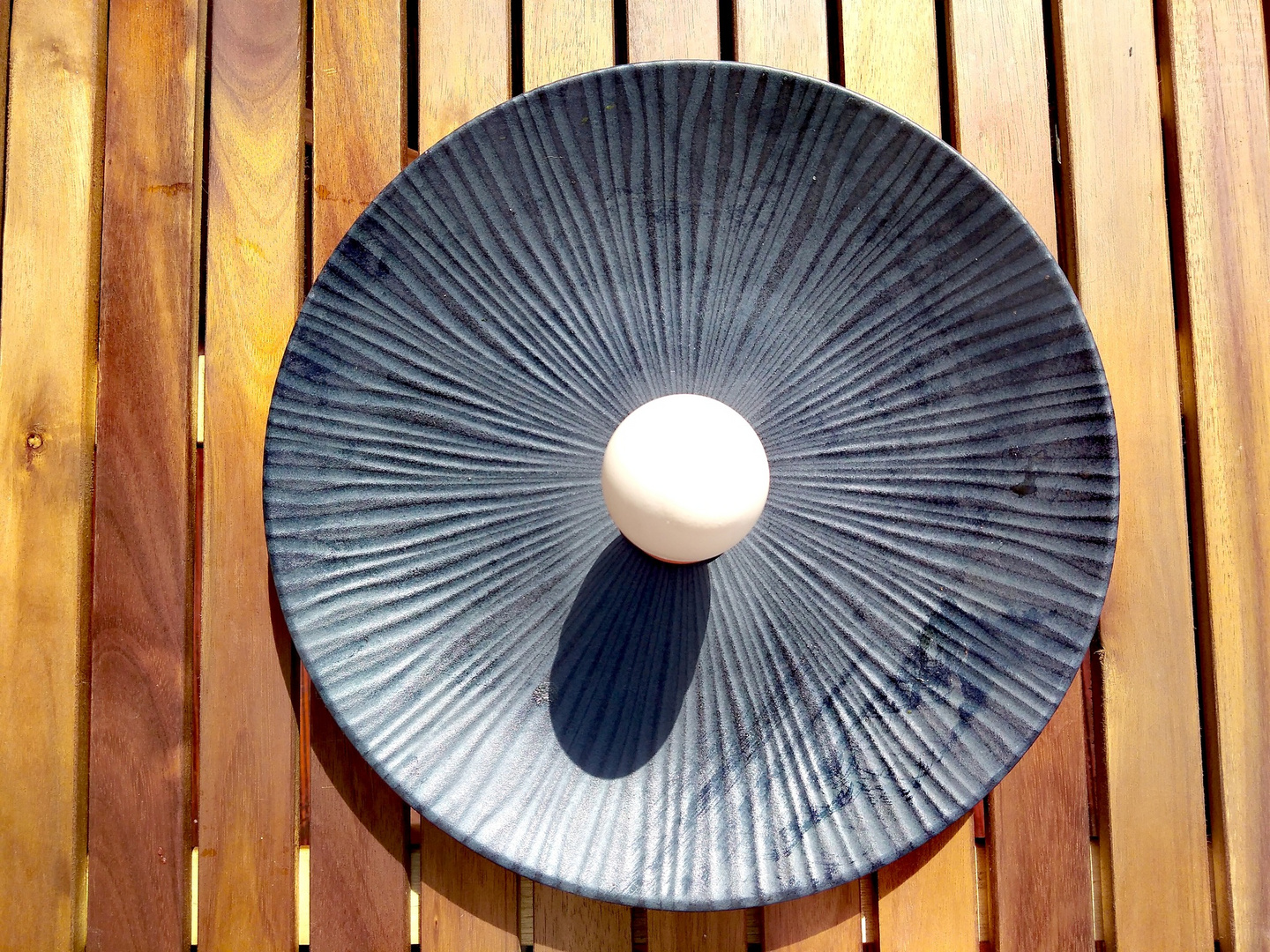 Das Ei des HT Foto & Bild | fotos, world, spezial Bilder auf fotocommunity