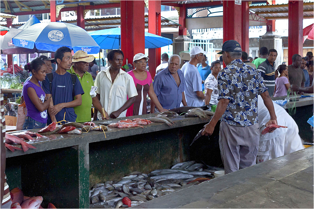 das entsetzen... Foto & Bild | africa, eastern africa, seychelles ...