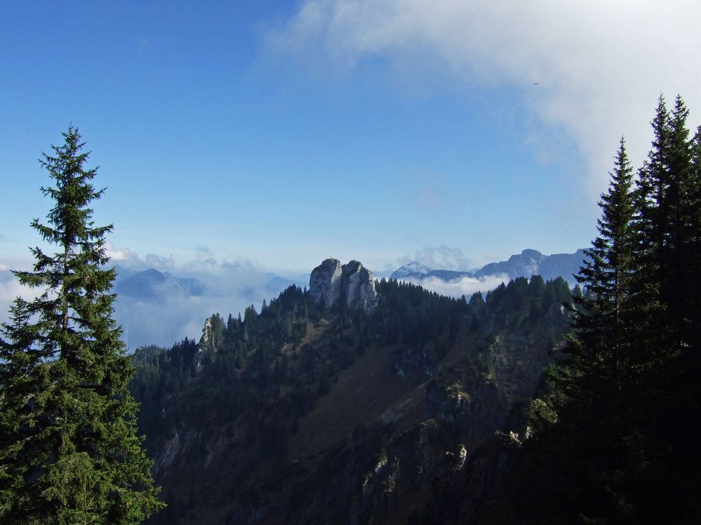 Das Ettaler Mandl gestern 07.10., a schener Dog wars Foto & Bild ...