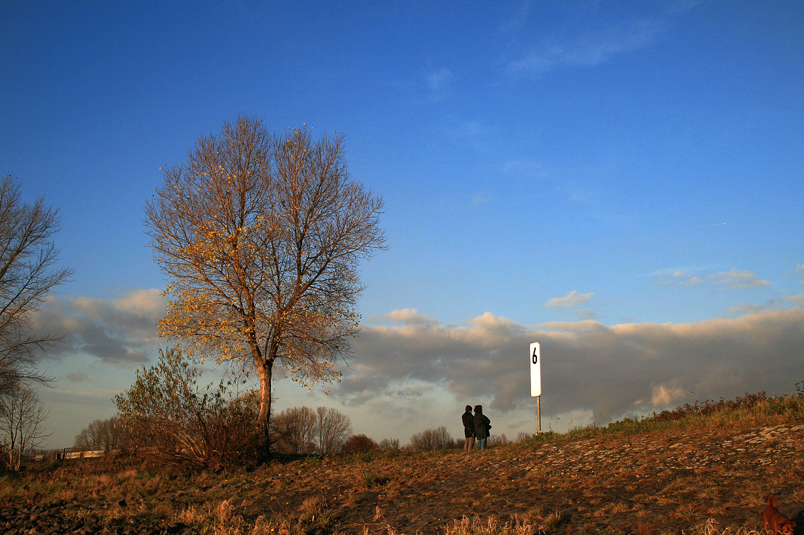 Das Exponat "6" am Rhein Foto & Bild | natur, menschen Bilder auf ...