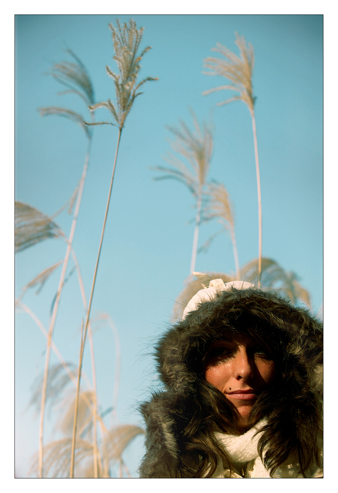 Das fabelhafte Feld der armen Lee Foto & Bild | erwachsene menschen ...