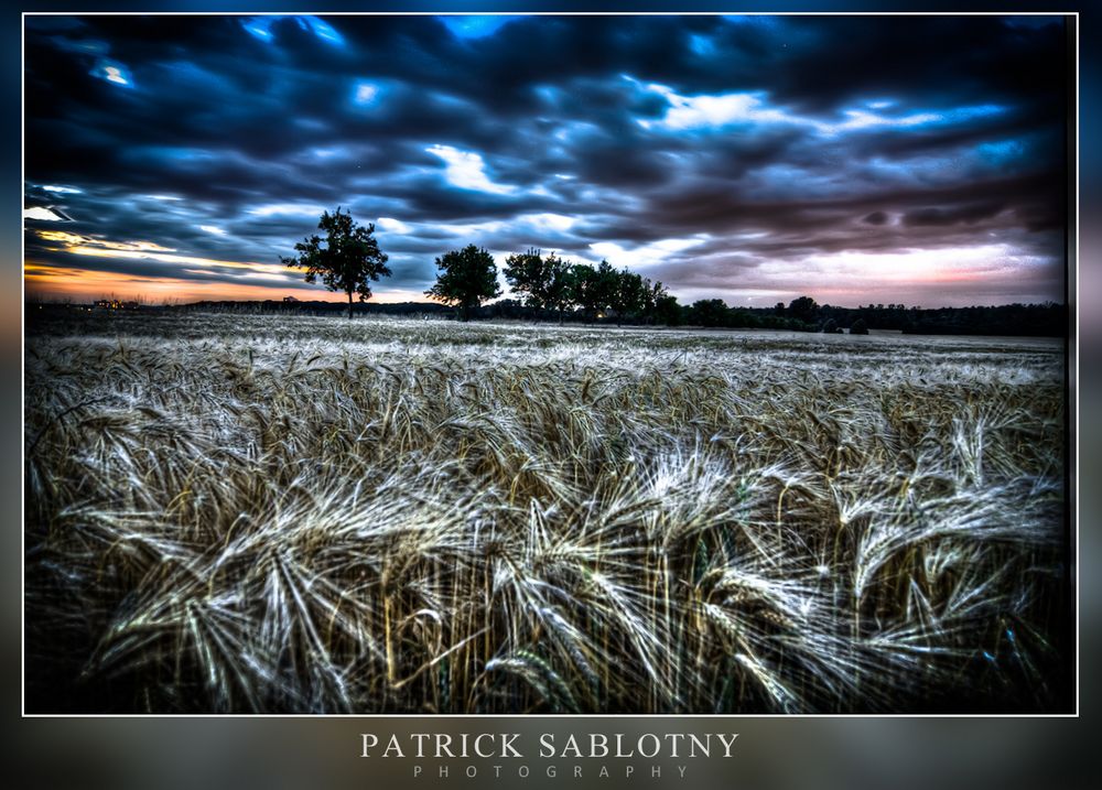 Das Feld Foto & Bild | landschaft, Äcker, felder & wiesen, hdr Bilder ...