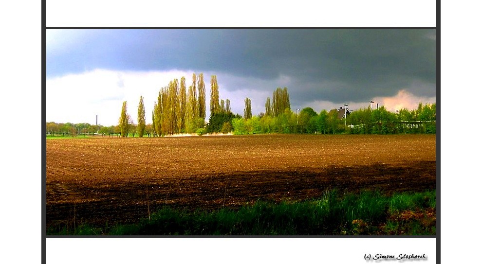 ~ Das Feld ~ Foto & Bild | landschaft, Äcker, felder & wiesen, natur ...
