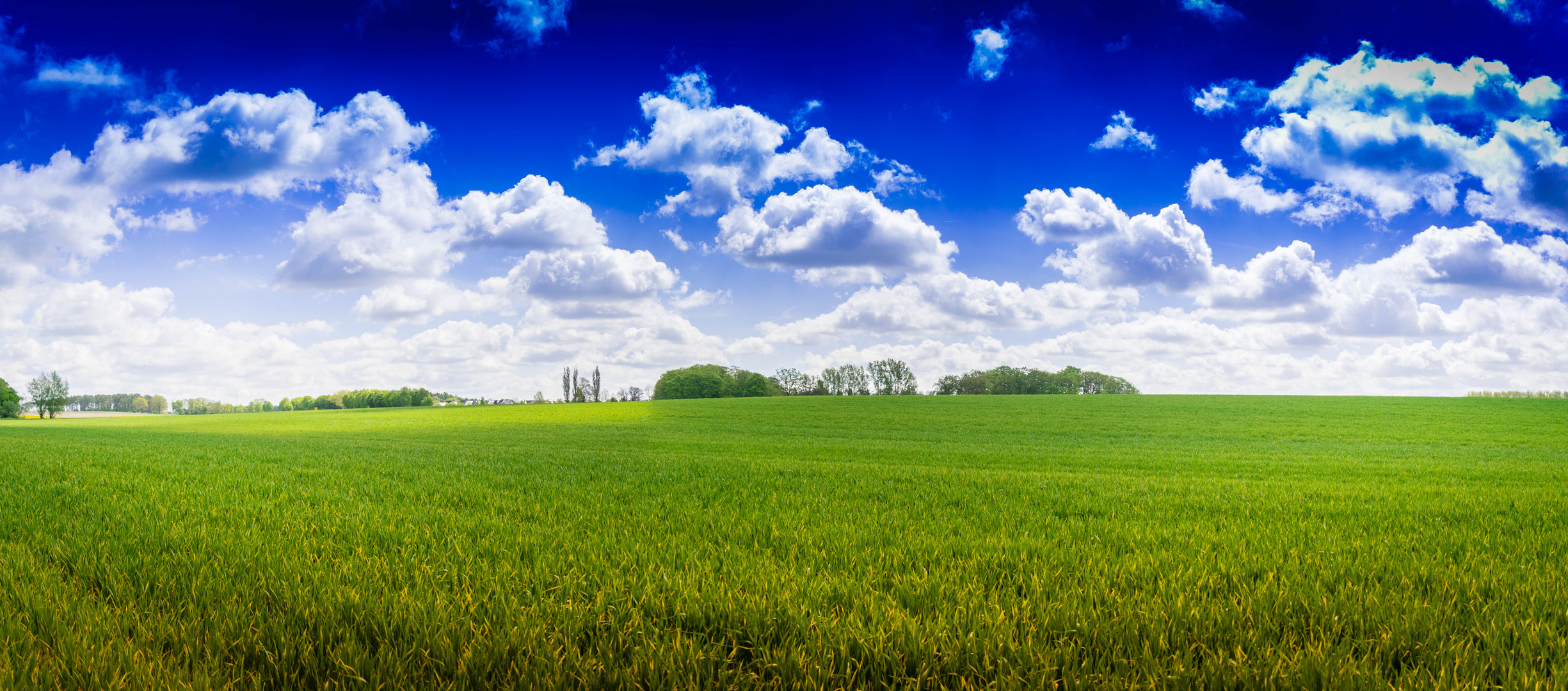Das Feld Foto & Bild | landschaft, landschaften, blau Bilder auf ...