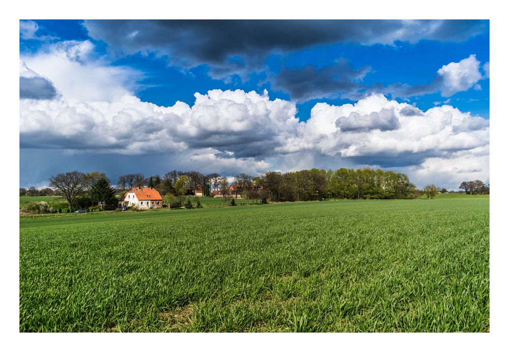 Das Feld Foto & Bild | urlaub, bäume, sonne Bilder auf fotocommunity