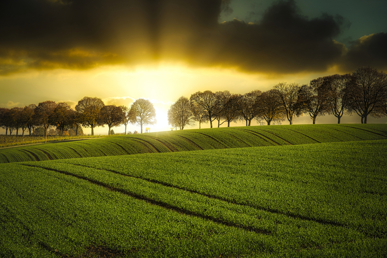 Das Feld Foto & Bild | landschaft, outdoor, licht Bilder auf fotocommunity