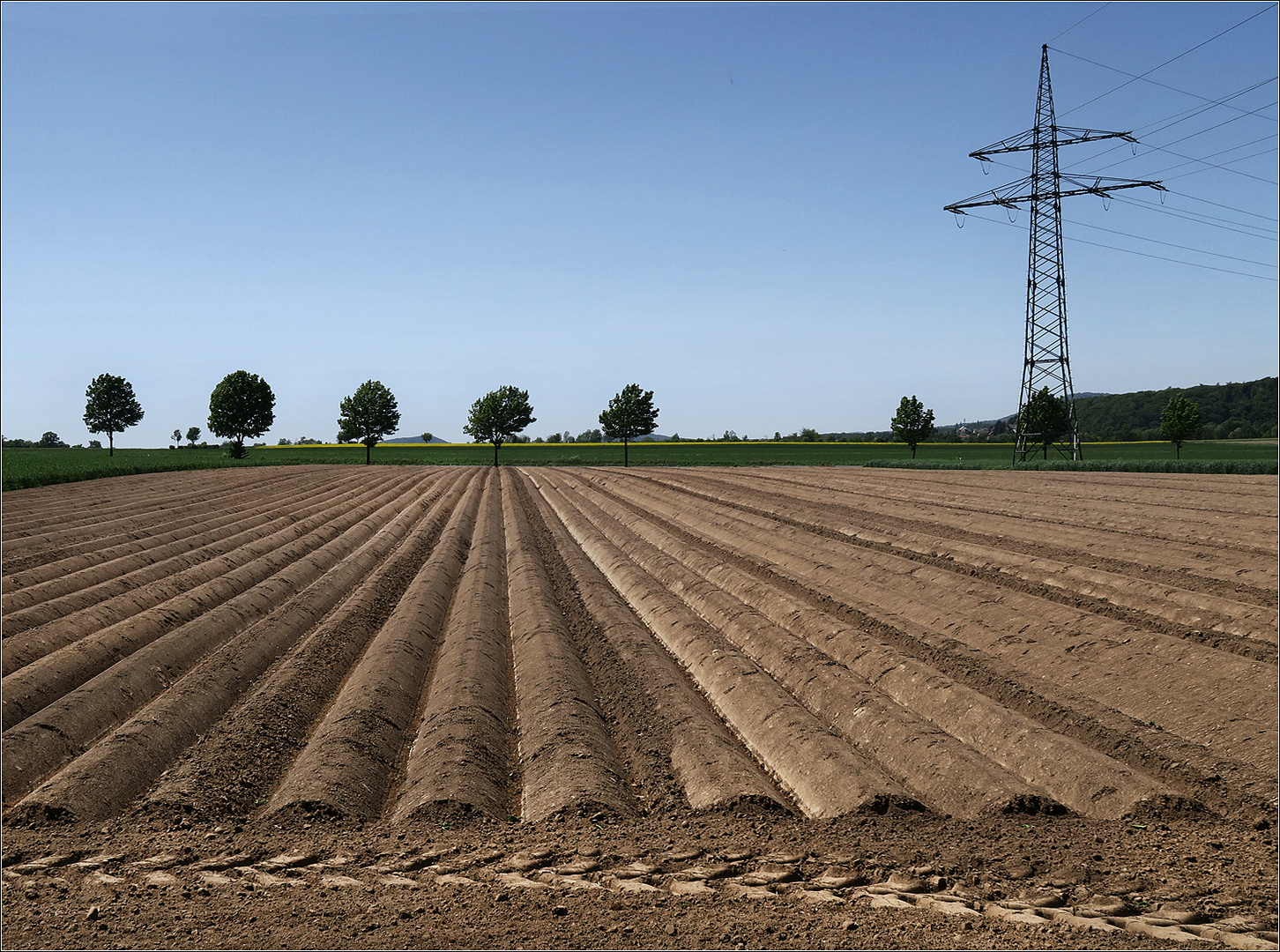 Das Feld ist bestellt . . . Foto & Bild | natur, landschaft, pflanzen ...