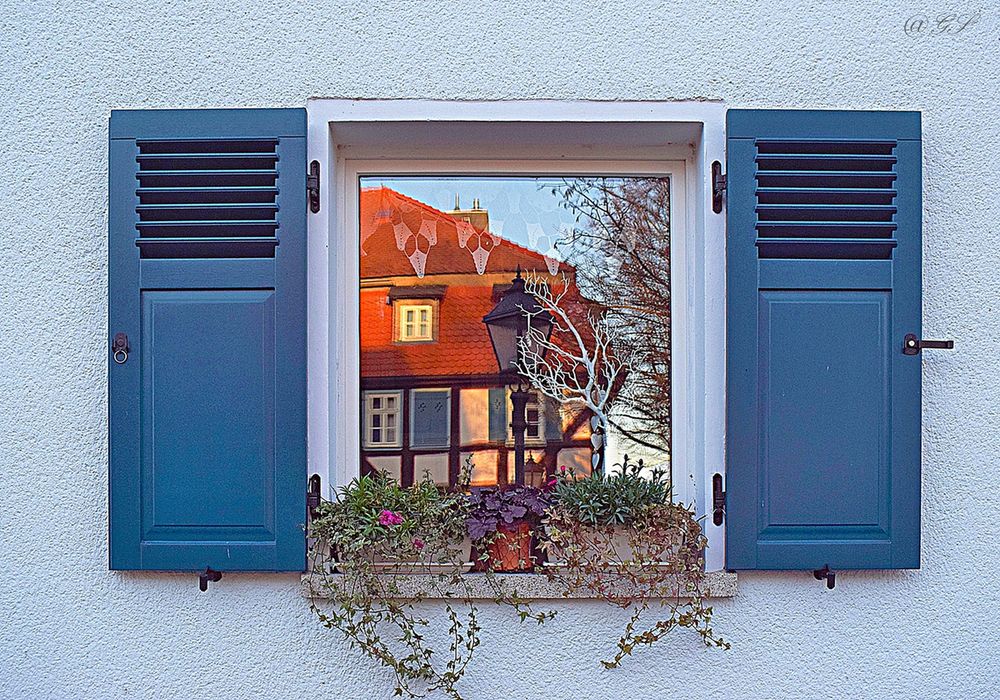 Das Fenster Foto & Bild | stillleben, projekte, 2 - dienstag ist ...