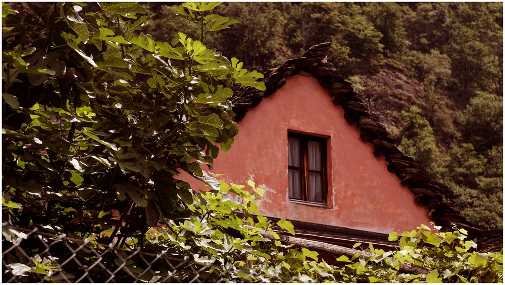 das Fenster im Giebel Foto & Bild | fotos, dokumentation, architektur Bilder auf fotocommunity