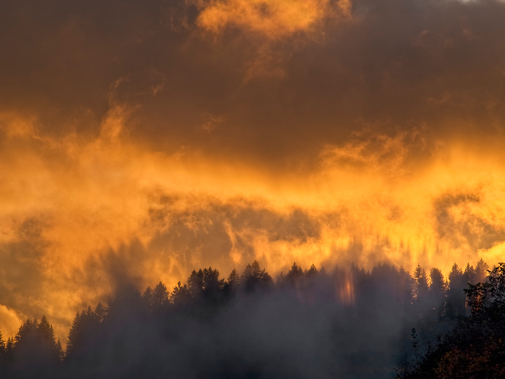 Das Feuer im Wald Foto & Bild | sonnenuntergänge, himmel & universum ...