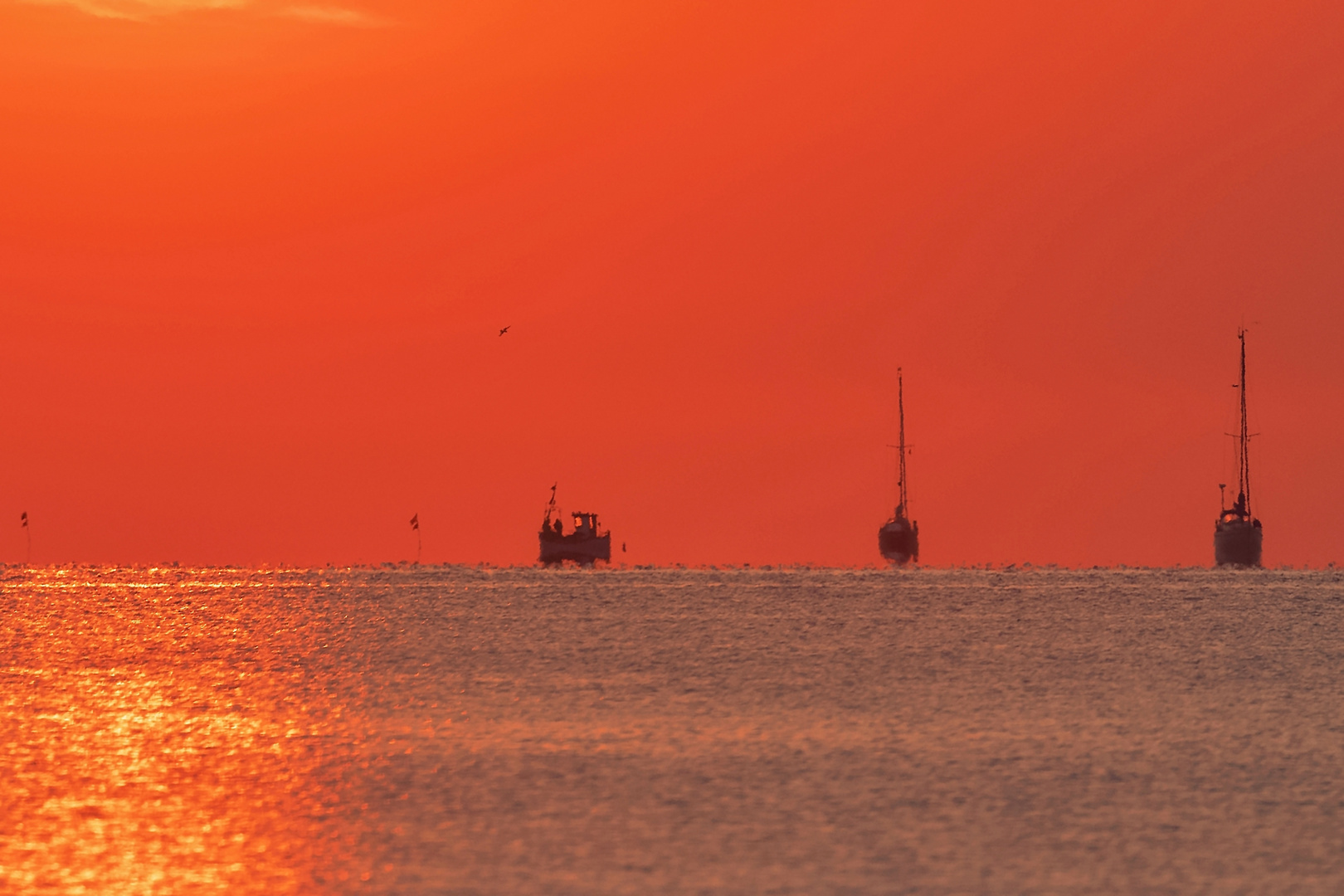 Das Flimmern Foto & Bild | landschaft, meer & strand, am meer Bilder ...