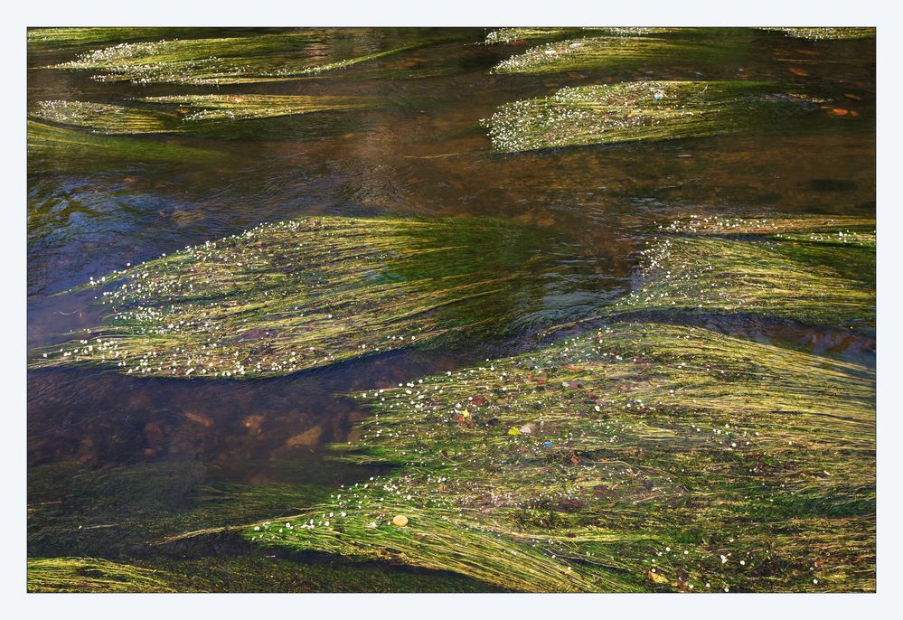 Das Flussbett - Bild & Foto von Manfred Übelbacher aus Wasser ...