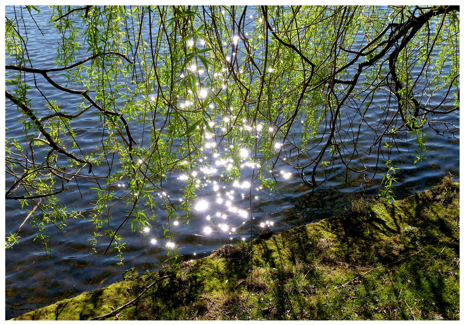 Foto & Bild | Ästhetik der sichtbarkeit, specials, natur Bilder auf ...