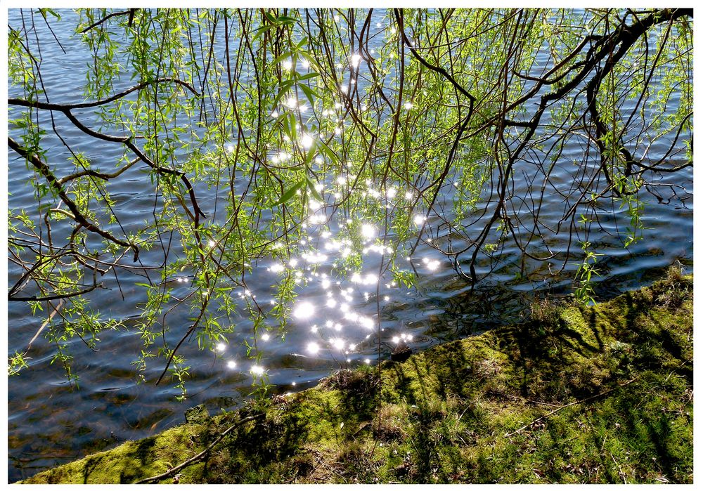 Foto & Bild | Ästhetik der sichtbarkeit, specials, natur Bilder auf ...