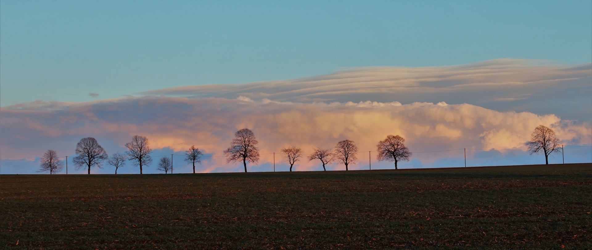 Das GEGENÜBER, leicht ansteigend... Foto & Bild | bäume, wolken, feld ...