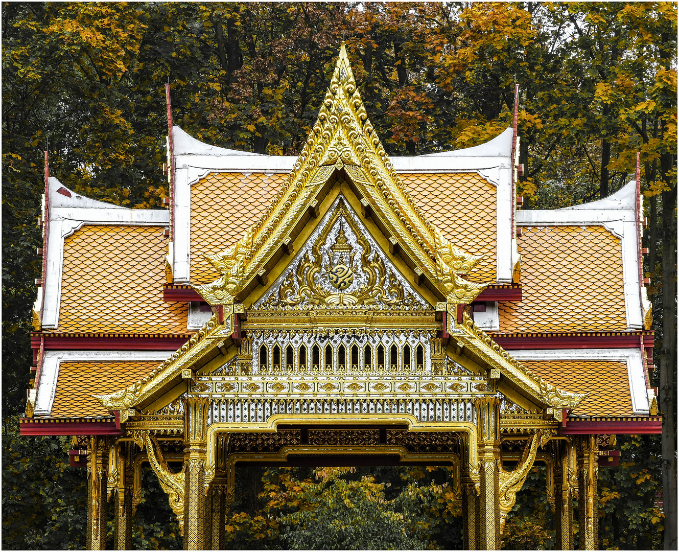 Das goldene Dach Foto & Bild | world, hessen, deutschland Bilder auf ...