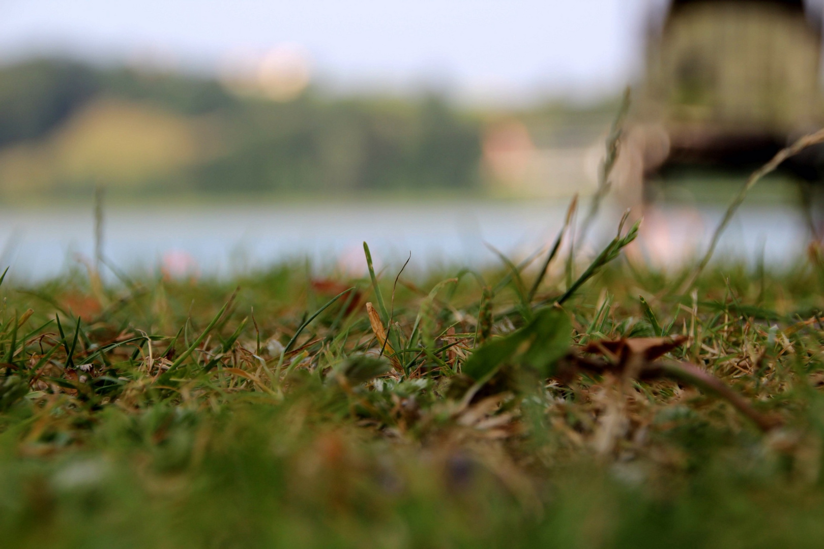 Das Gras wächst Foto & Bild | natur-kreativ, aufnahmetechniken, natur ...