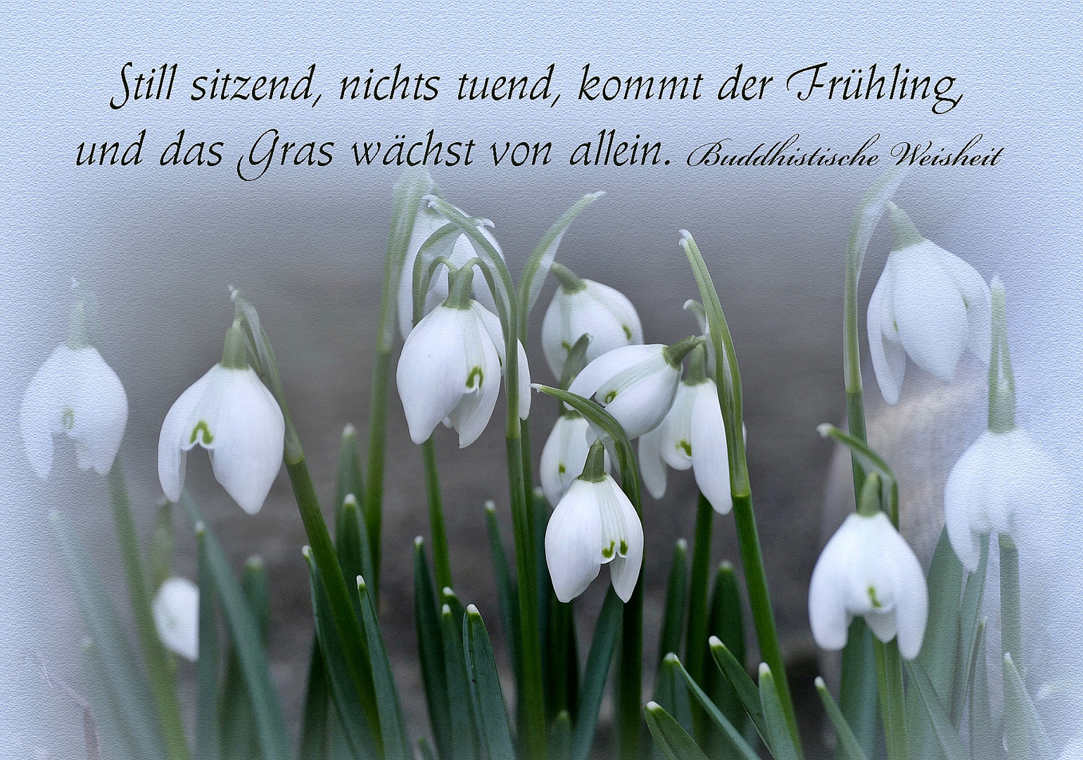 Das Gras wächst von allein Foto & Bild | spezial, frühling, natur ...