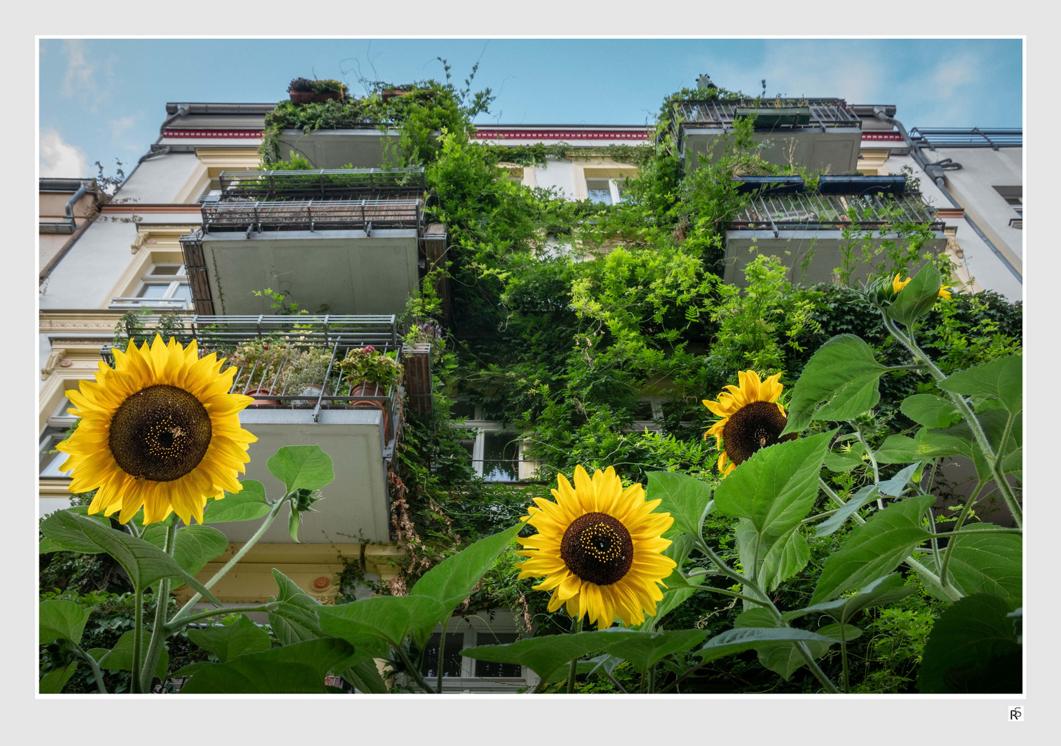Das grüne Berlin Foto & Bild | dokumentation, grün, berlin Bilder auf ...