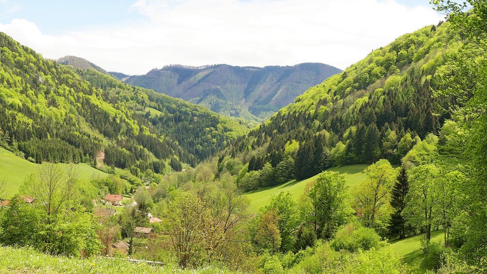Das grüne Tal Foto & Bild | landschaft, lebensräume, landschaften ...