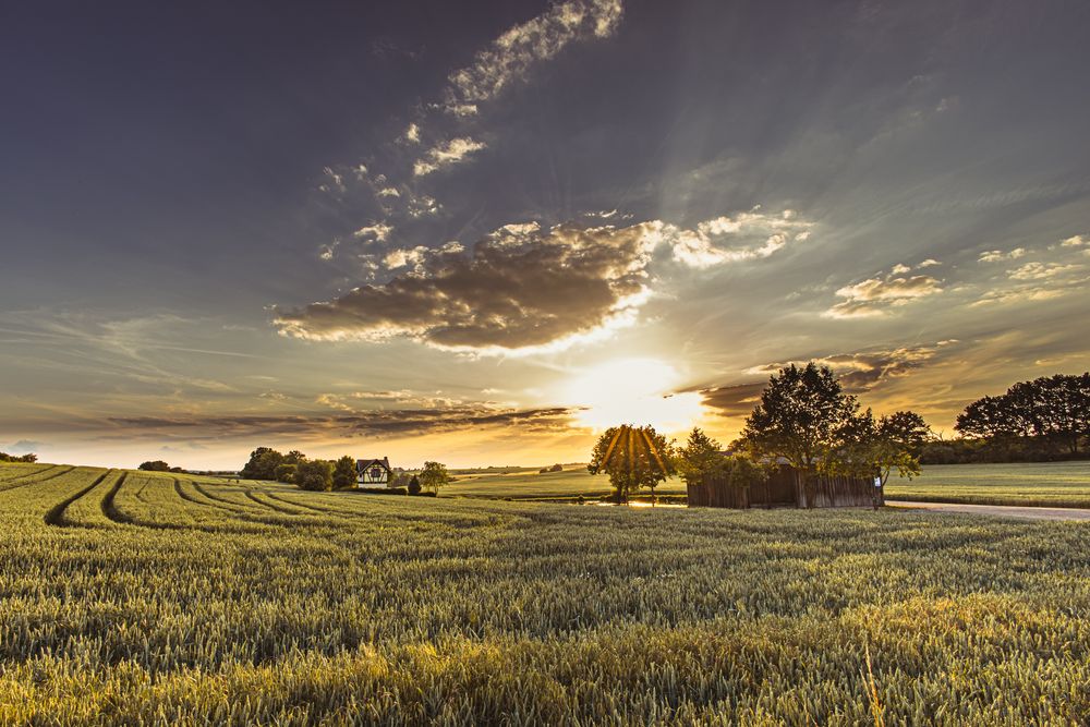 Das Haus im Feld Foto & Bild | landschaft, sonnenuntergänge, Äcker ...